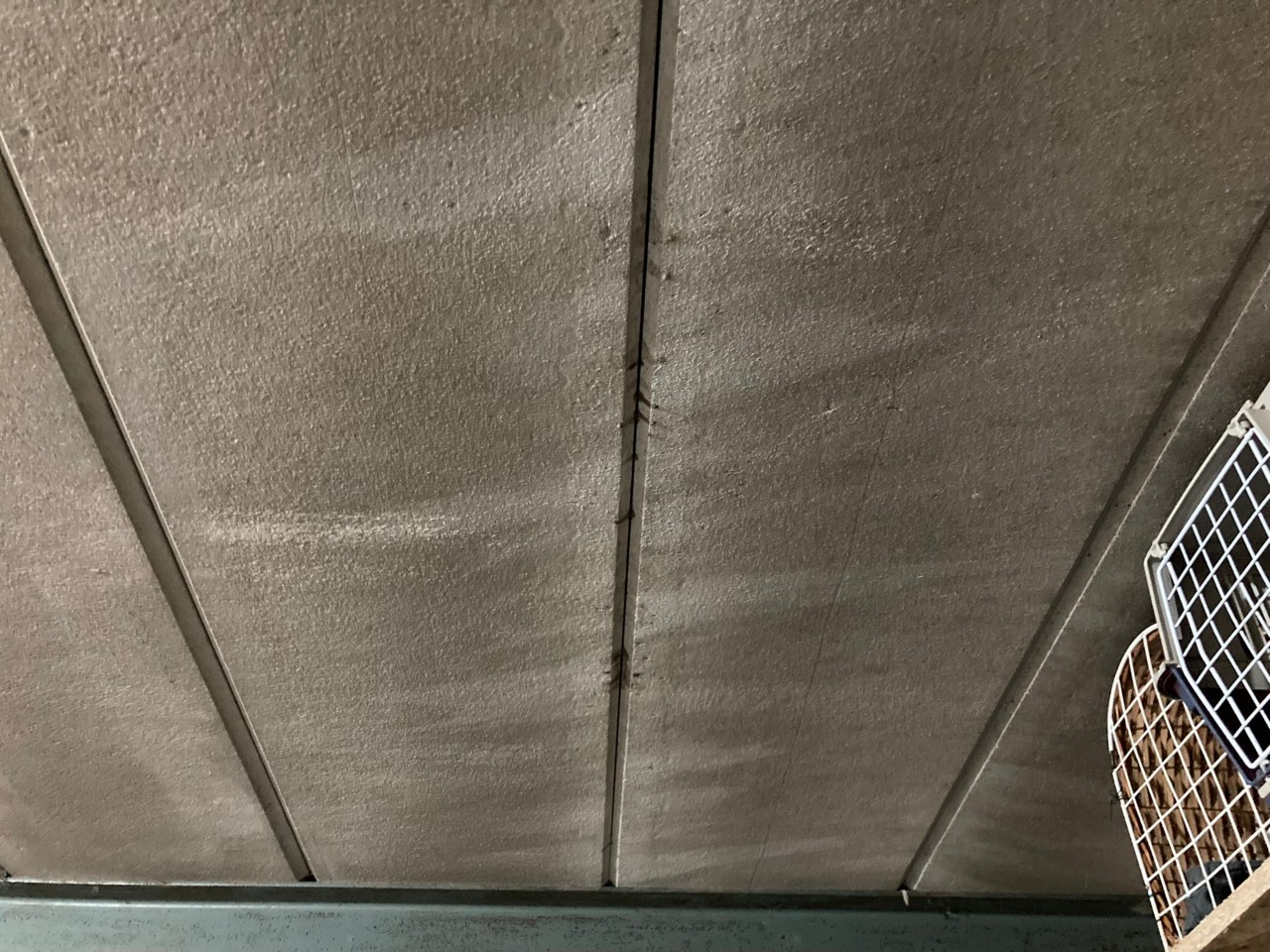 Reinforced autoclaved aerated concrete (RAAC) | RICS