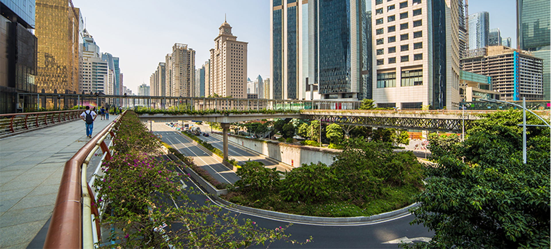 Transforming tradition: building green ecosystems for commercial property