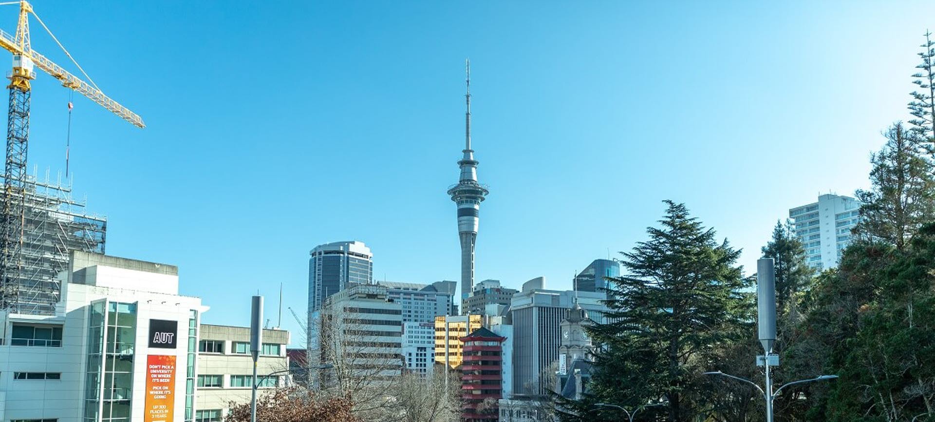 New Zealand Awards 2024