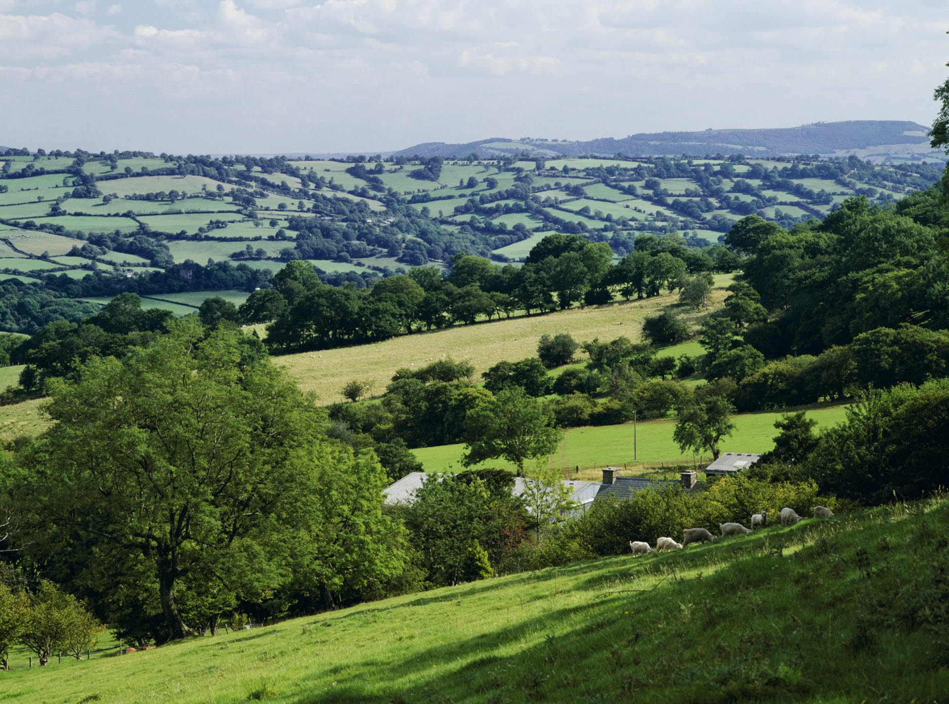 A path to net zero in the UK rural sector