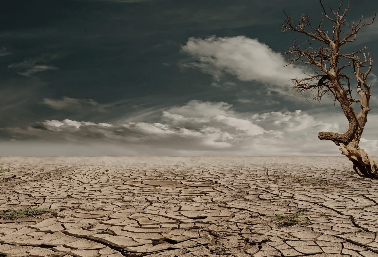 Climate change and land use: Repairing centuries of damage