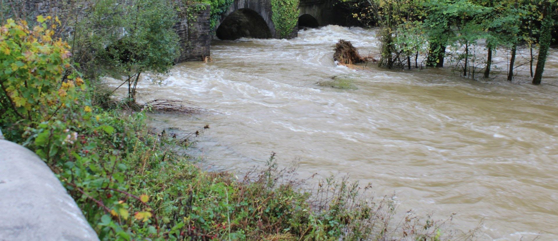 Budget 2020: RICS response to climate change commitments