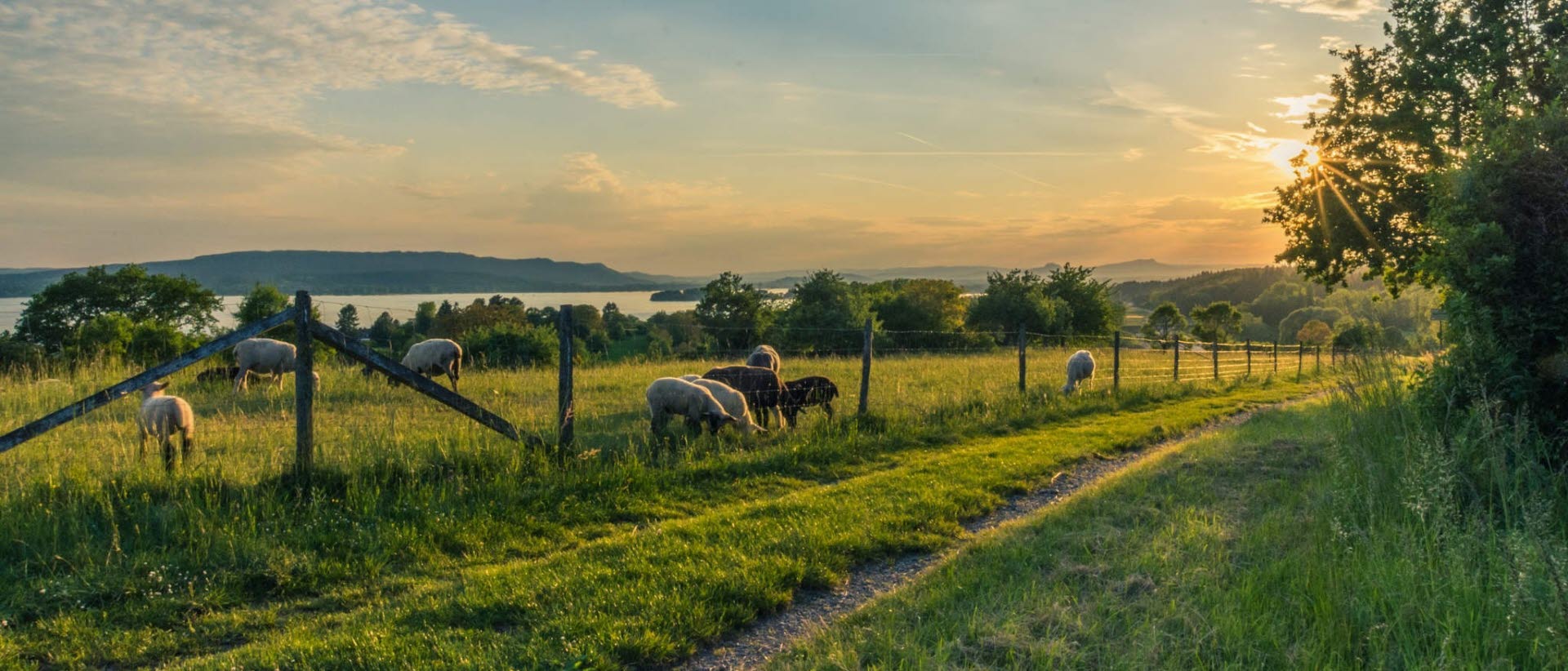 Terms of engagement: rural estate management services, 1st edition